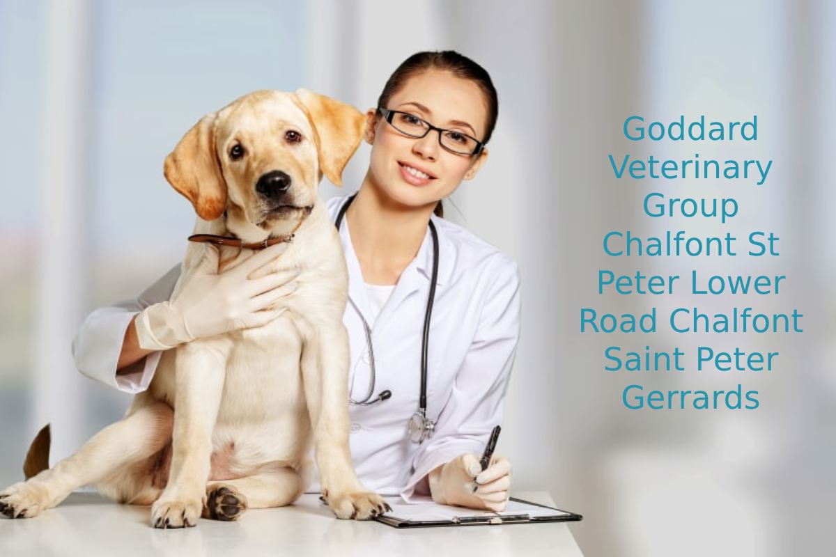 Goddard Veterinary Group Chalfont St Peter Lower Road Chalfont Saint ...